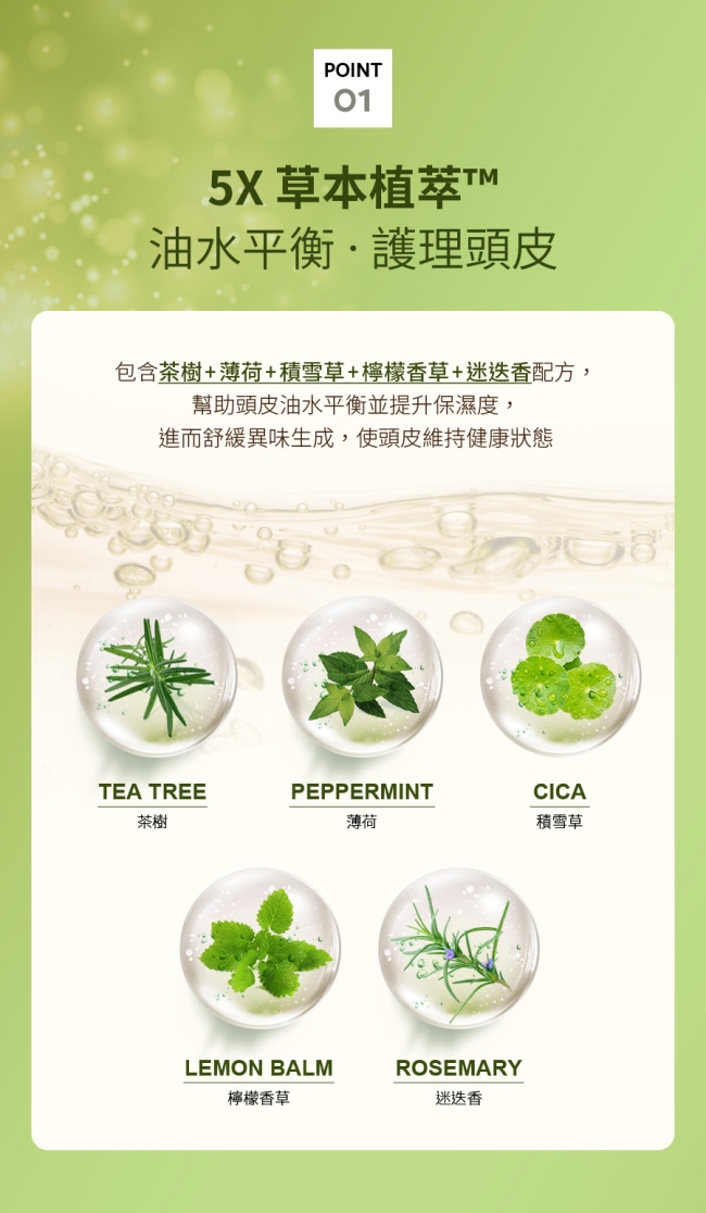 ES, Elastine伊絲婷Master大師系列極致淨屑洗髮精770ML | 屈臣氏 Watsons